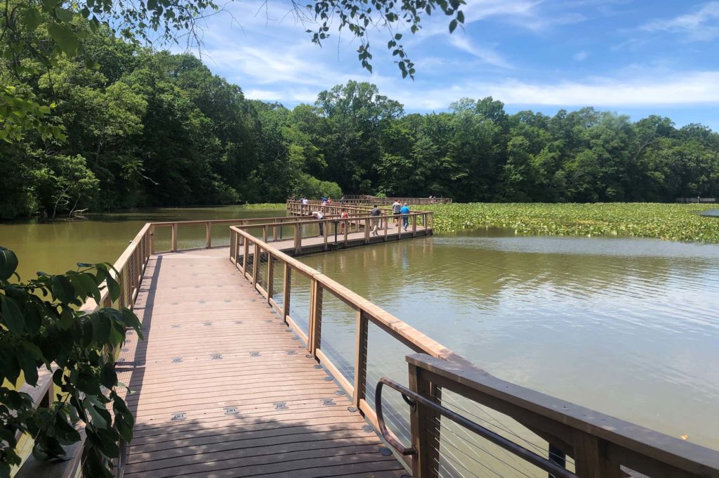 Floating Docks Archives | EZ Docks Mid-Atlantic